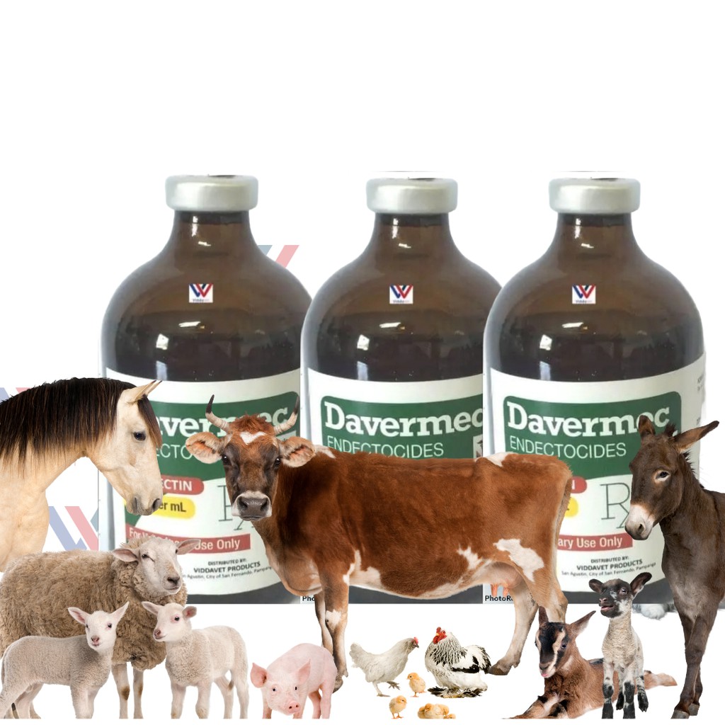Davermec 100ml for animals dogs cats horse pig pang purga ( dewormer ...