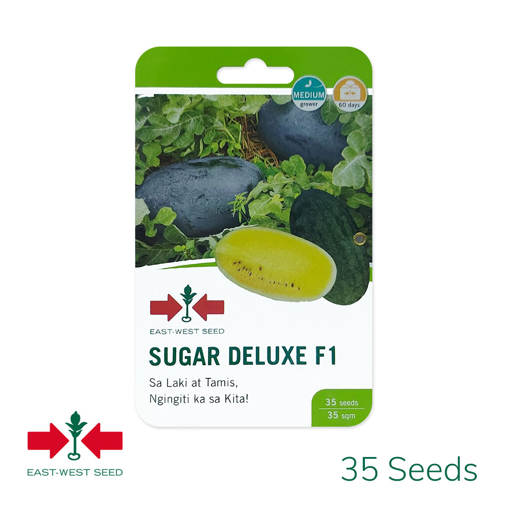 Eastwest Seed [SUGAR DELUXE F1] Pakwan/Watermelon Go Grow Pack | Lazada PH