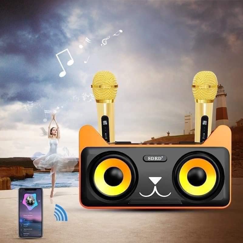 SDRD Professional Bluetooth Karaoke Speaker with Wireless Microphone ...