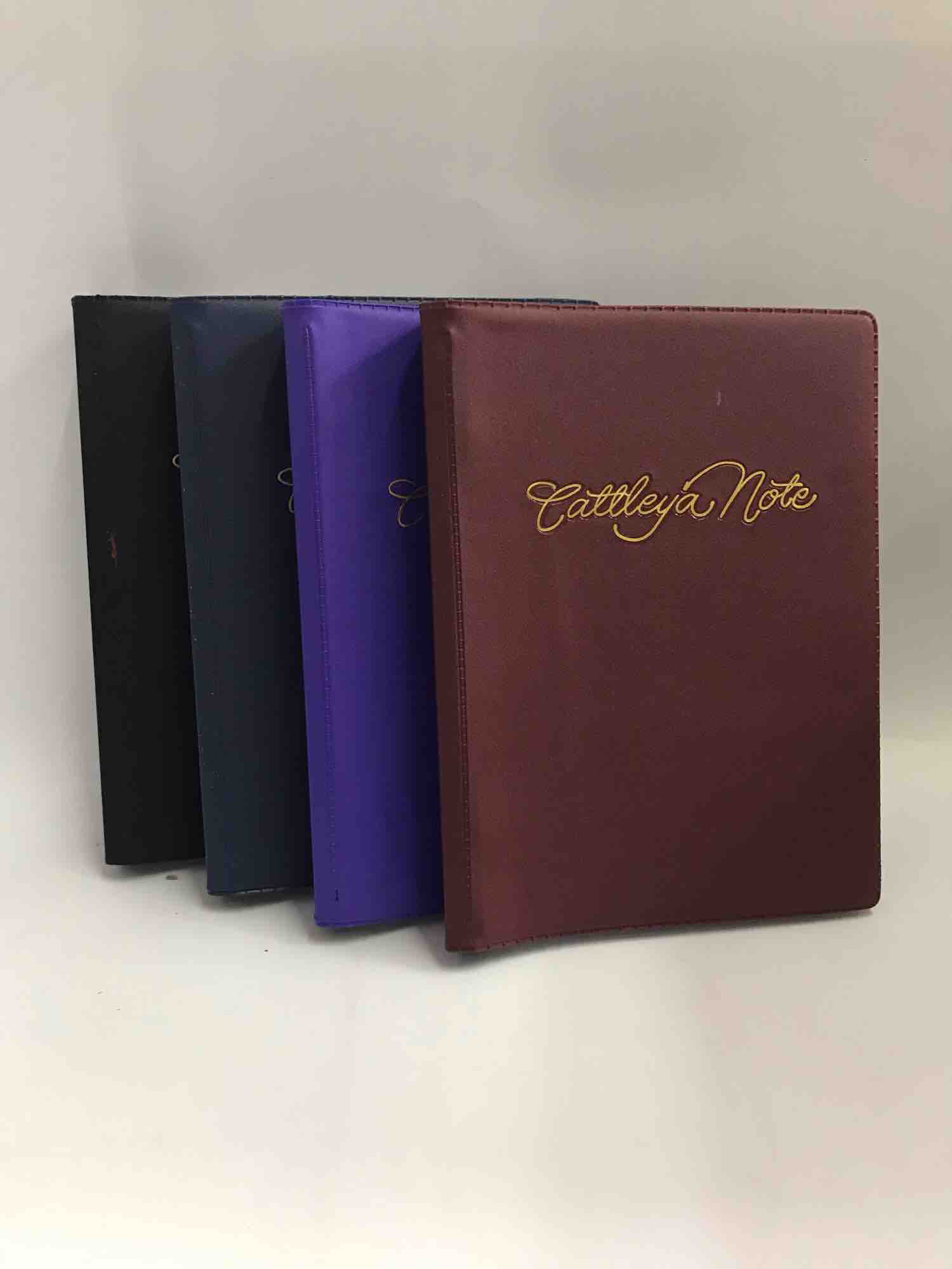 Cattleya binder notebook 10 division 5 x 7in | Lazada PH