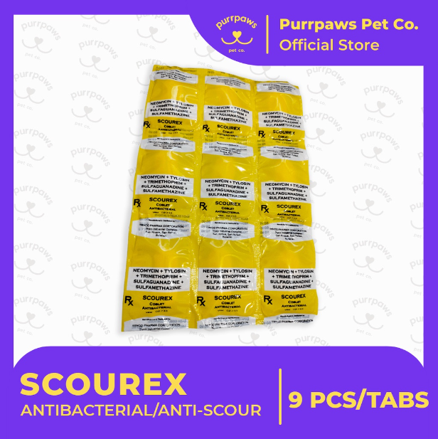 SCOUREX Coblet Antibacterial (9 tablets) | Lazada PH