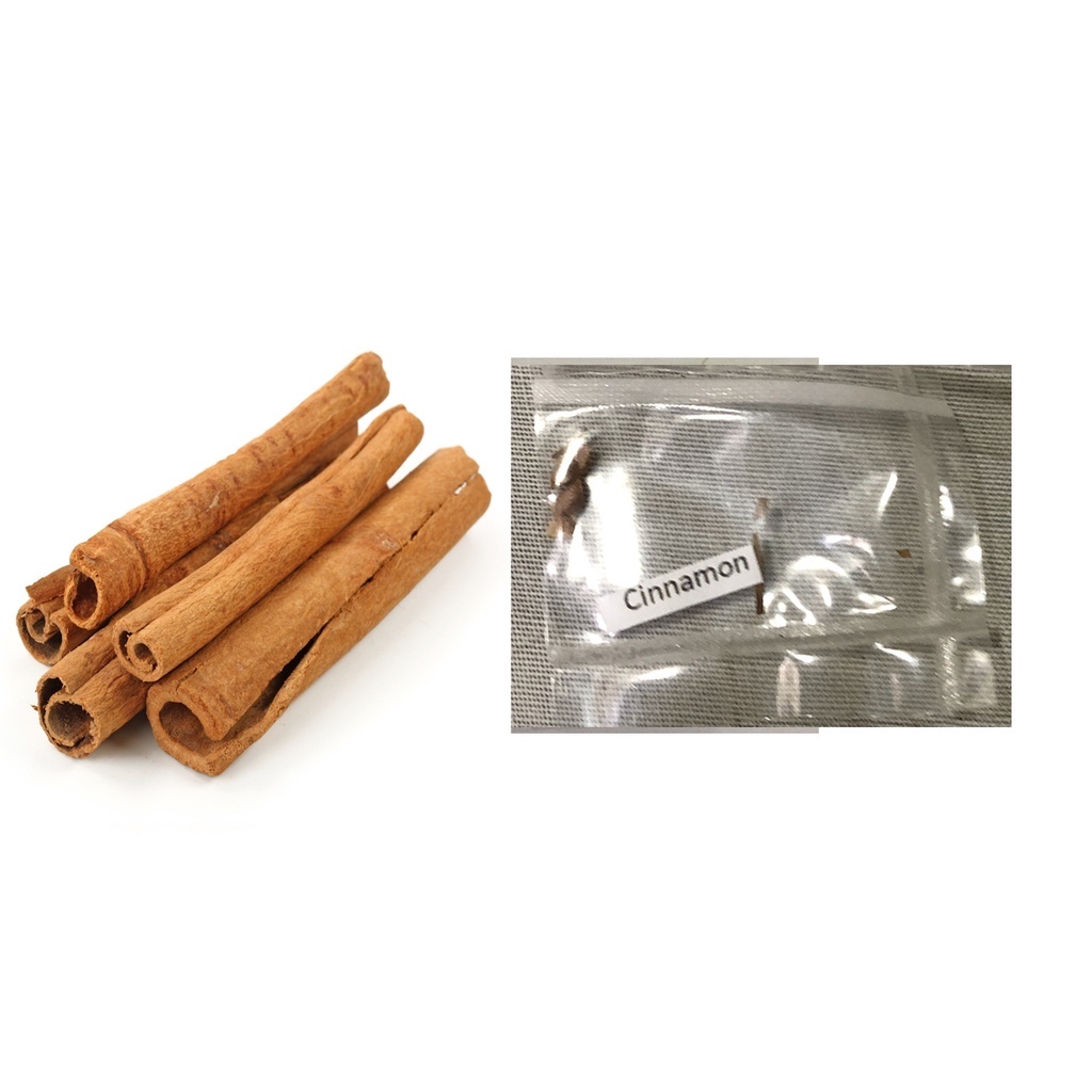 cinnamon ceylon tree plant 50 seeds (not plants) | Lazada PH