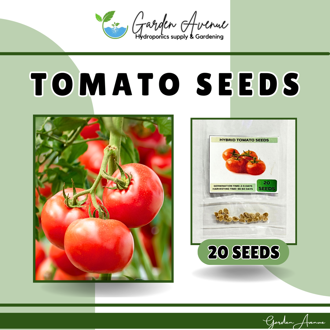SULIT PACK! Tomato/Kamatis Seeds (Hybrid) (20pcs seeds) | Lazada PH