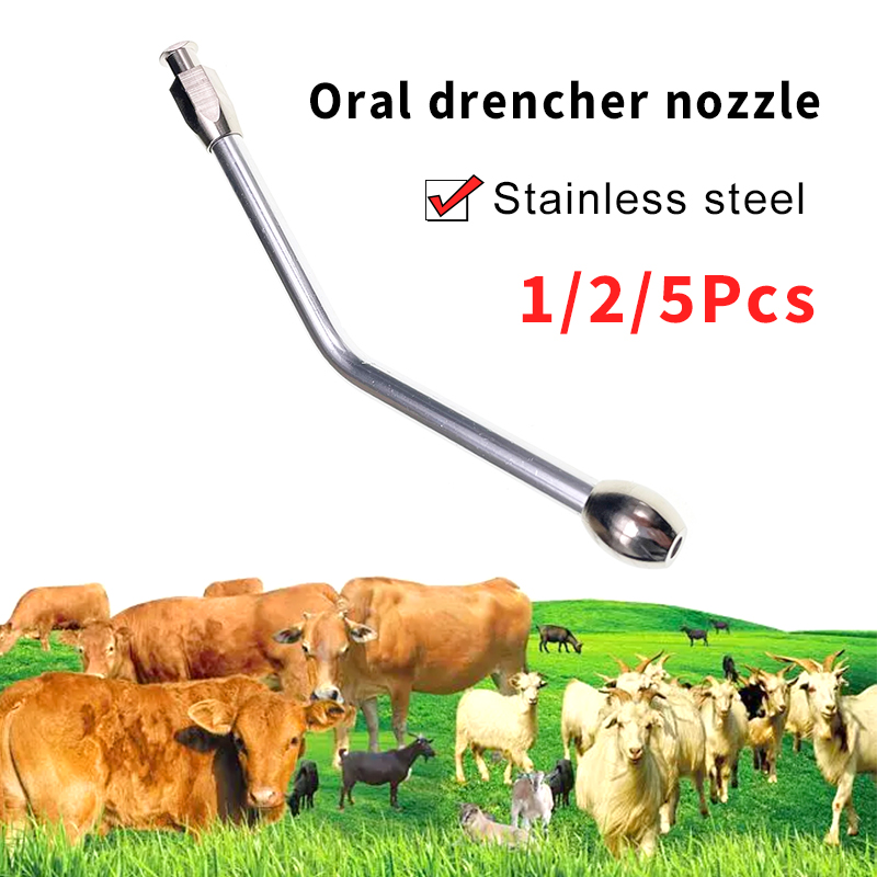 Syringe nozzle Stainless steel Oral drencher nozzle for pig goat cattle ...
