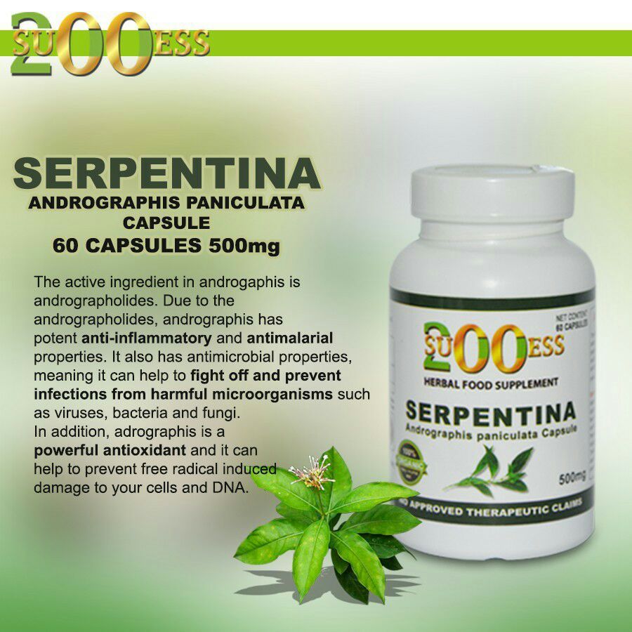 Success200 Serpentina Capsule 60s | Lazada PH