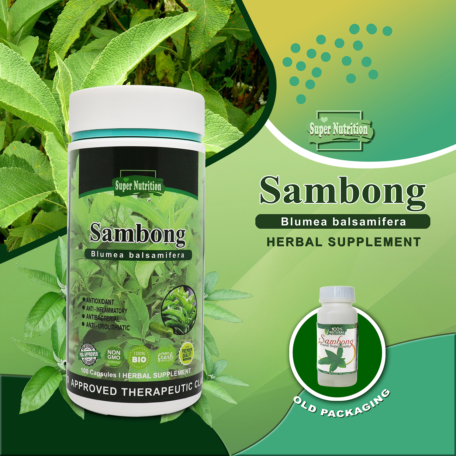 Sambong Capsules Food Supplement 100's (new packaging) | Lazada PH