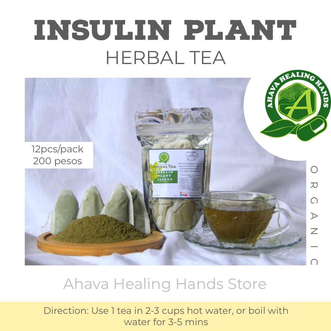 Insulin Plant tea (12pcs/pack) Organic - Natural Wellness ni Pastor ...
