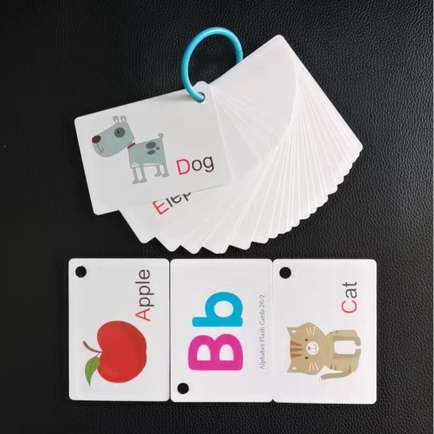 Laminated Flash Cards Preschool Color Number Shape English ABC Alphabet ...