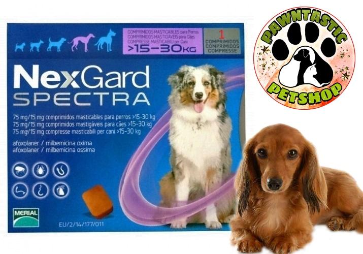 NexGard Spectra Chewable for Dogs 15-30kg [ONE TABLET ONLY w/ Free ...