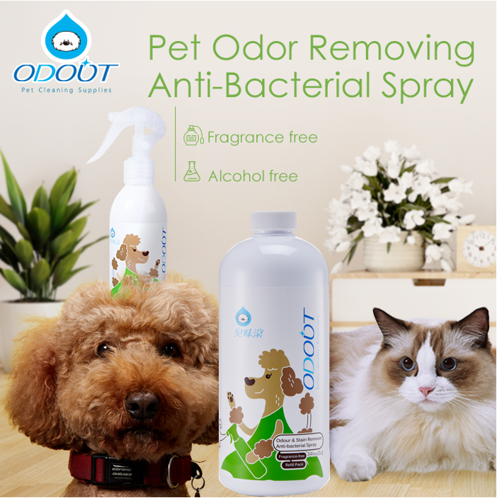Odout Odor Removing Antibacterial Spray for Dog 500ml (Neutralizing ...
