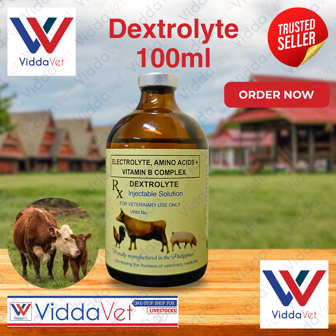 100ML Dextrolyte, Amino Acids plus Vitamin B Complex 100ml swine, pets ...