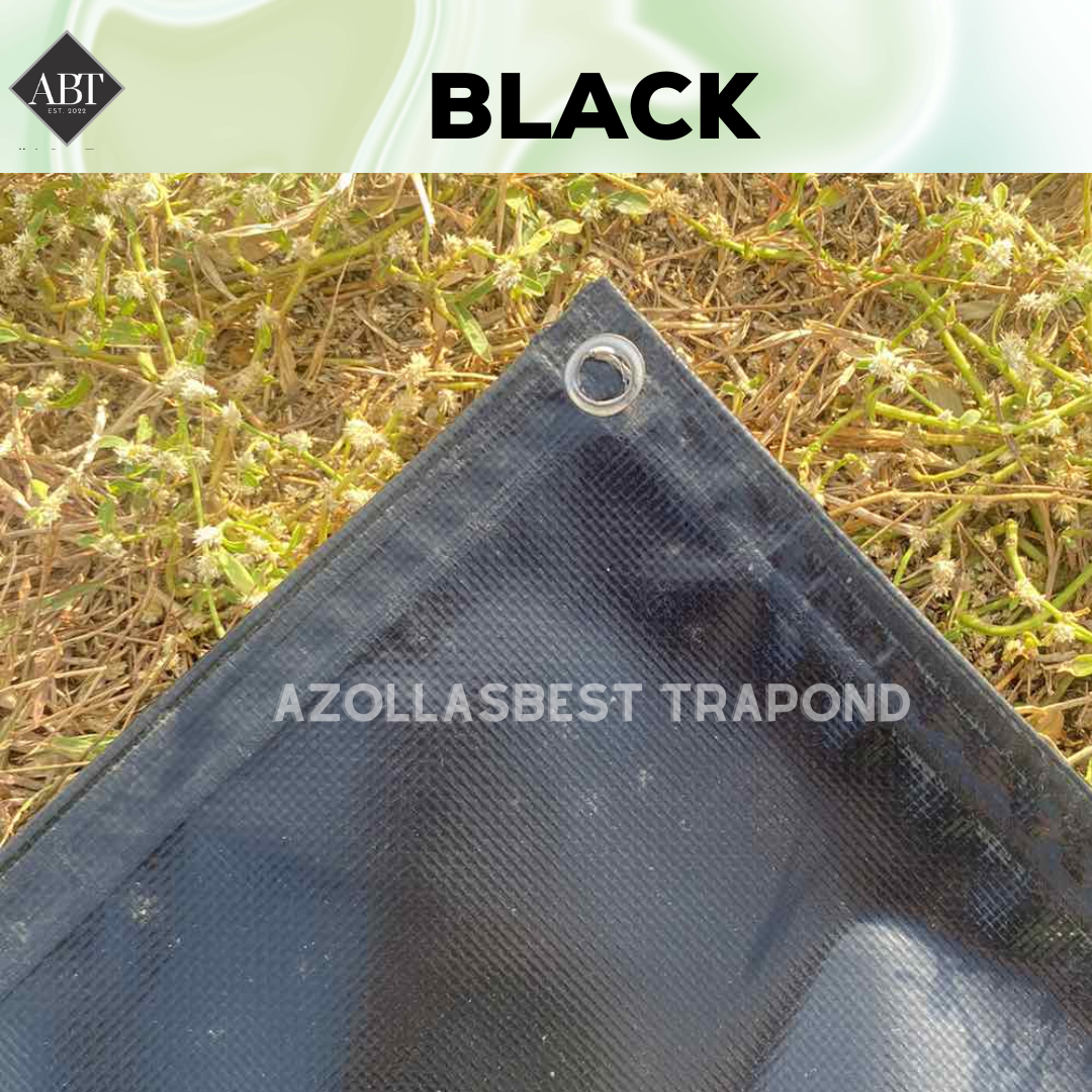 3x6x1ft S400 AZOLLA POND WITH ROPE Original Maruyama CKM Trapal ...