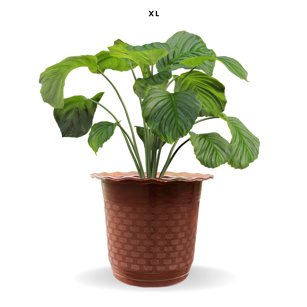Flower Pots Minimalist White And Brown Indoor Outdoor Pots High Quality ...