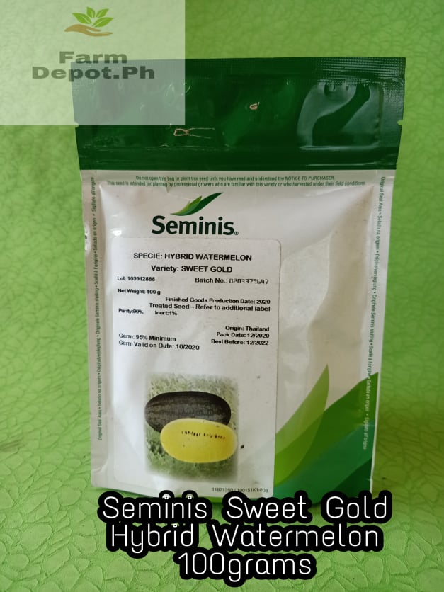 Seminis Sweet Gold hybrid Watermelon 100 grams | Lazada PH