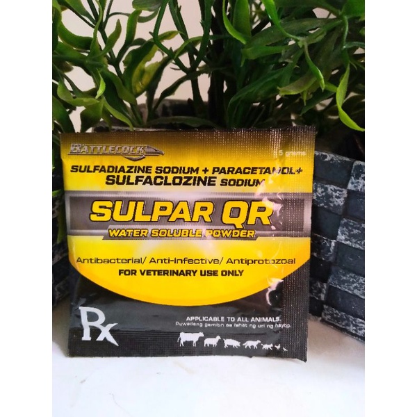 Sulpar QR Water Soluble Powder ( 5grams ) | Lazada PH