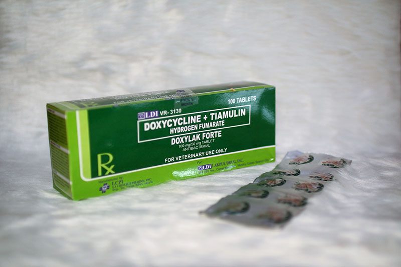 Doxylak Tablet 100's (SOLD PER BOX) | Lazada PH