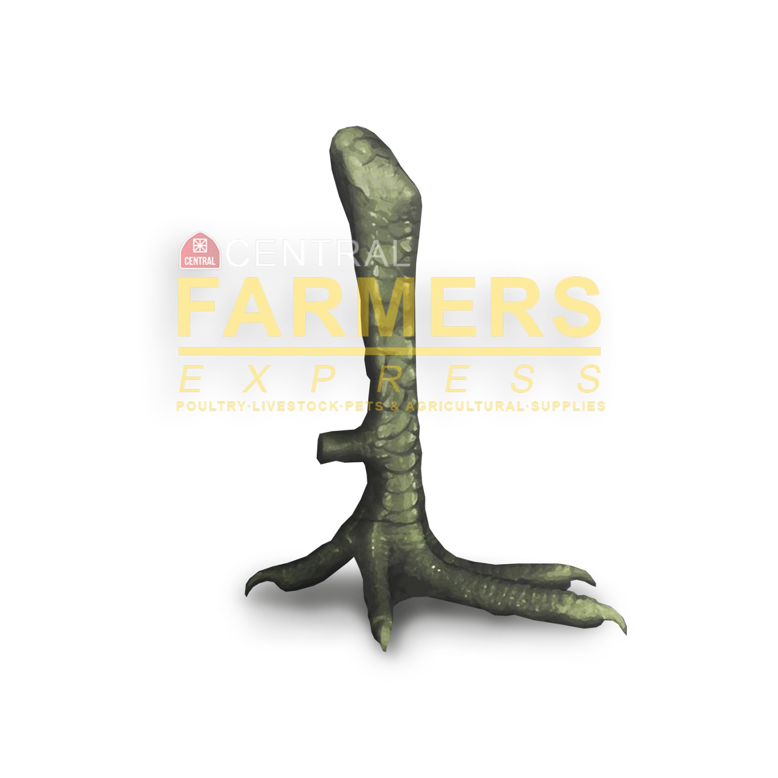 Chicken Dummy Feet Gaffing Shank ORIGINAL | Lazada PH