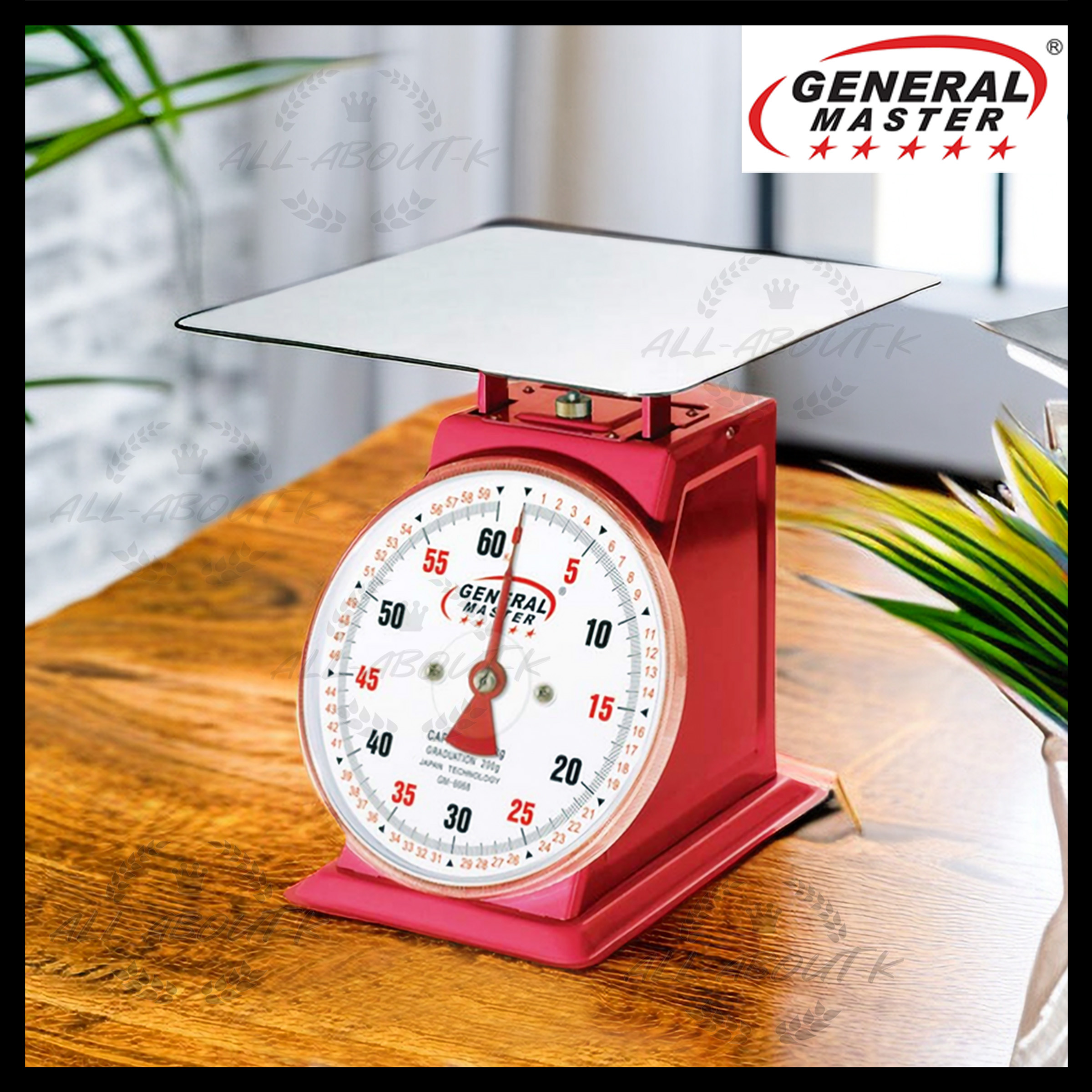 General Master 60kg Weighing Scale/Table Scale Dial Spring Scale GM ...