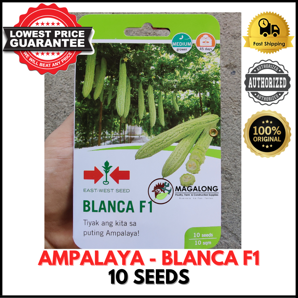 EAST-WEST SEEDS - AMPALAYA SEEDS - BLANCA F1 HYBRID - 10 SEEDS | Lazada PH