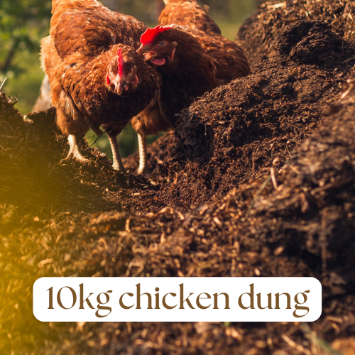 10kg Dried Chicken Animal Manure Organic Fertilizer, Chicken dung, Dumi ...