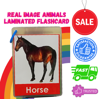 Animals Flashcard (Laminated) | Flashcards for kids | Flashcards ...