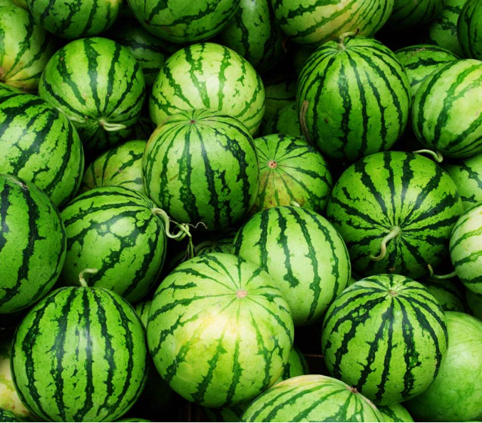 buy one get one free, 50 seeds (not plants)EAST WEST SUGAR BABY HYBRID ...