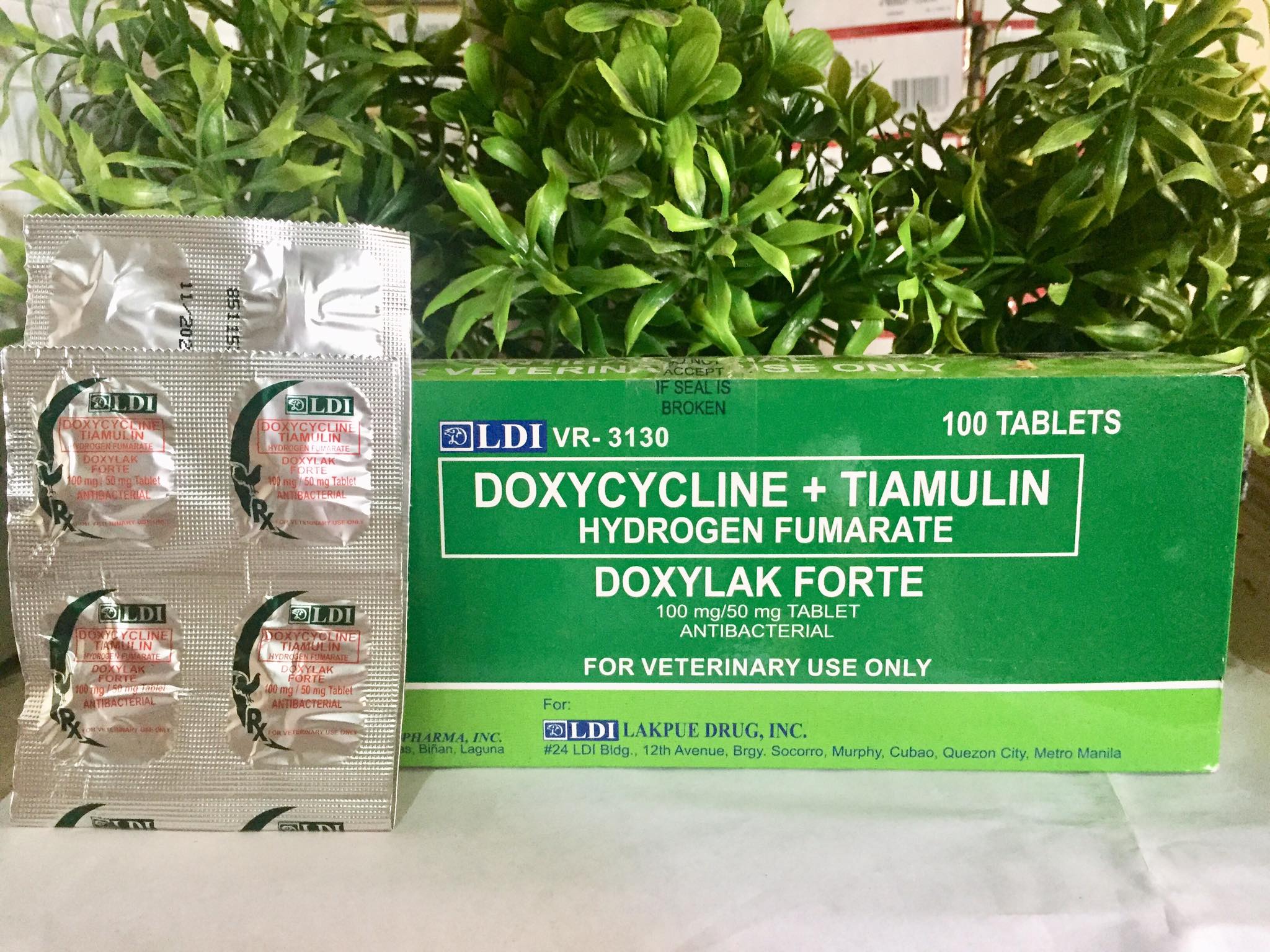 Doxylak Forte 10 tablets | Lazada PH