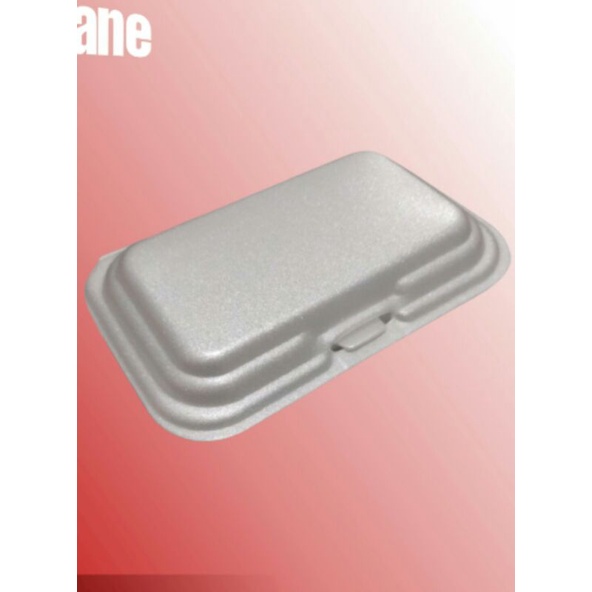 Disposable Styro Spaghetti Box 50 pcs, 100 pcs | Lazada PH