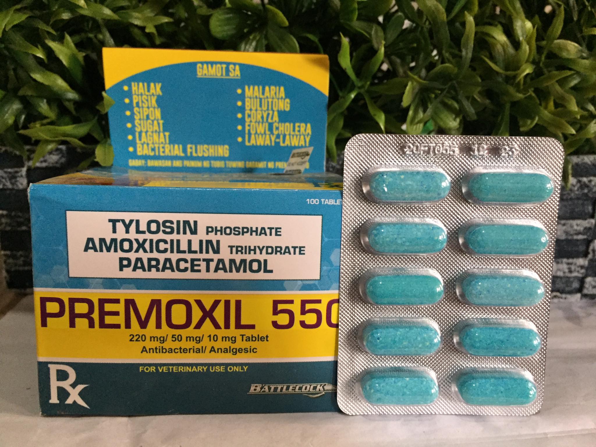 Premoxil 550 tablet (10 tablets) | Lazada PH
