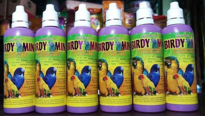 Premium African Mix 1KG (TripleCrown) Imported for Love Bird Cockatiel ...