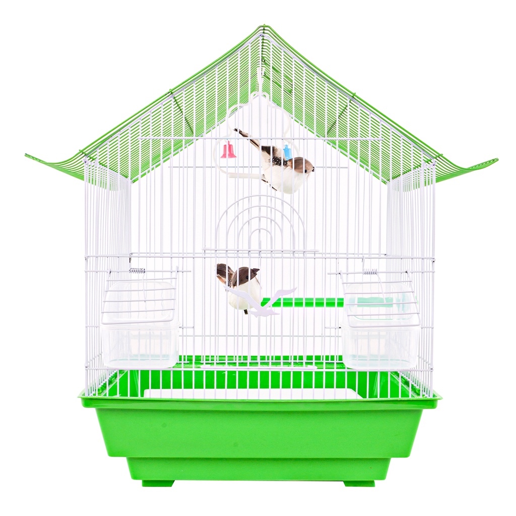 age cage age age h feeder ☑ | Lazada PH