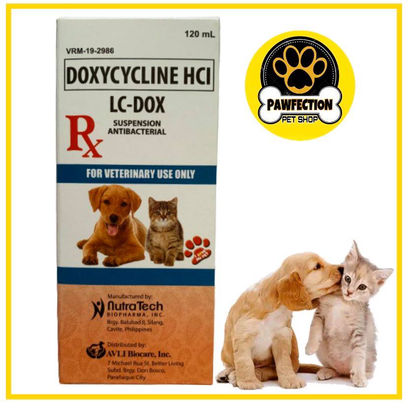 LC-DOX Suspension Antibacterial for dogs and cats 120ml | Lazada PH