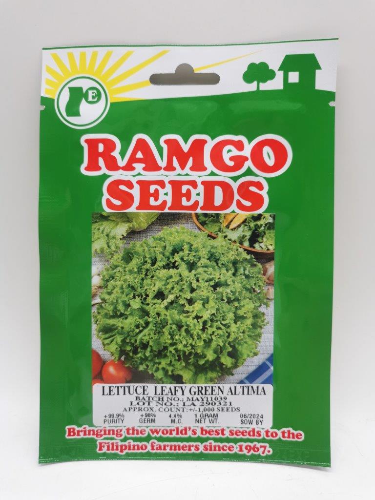 RAMGO LETTUCE LEAFY GREEN ALTIMA SEEDS ( ORIGINAL GARDEN PACK ) | Lazada PH