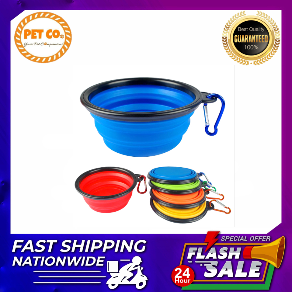 Pet Collapsible Bowl Travel Feeder (VIOLET) | Lazada PH