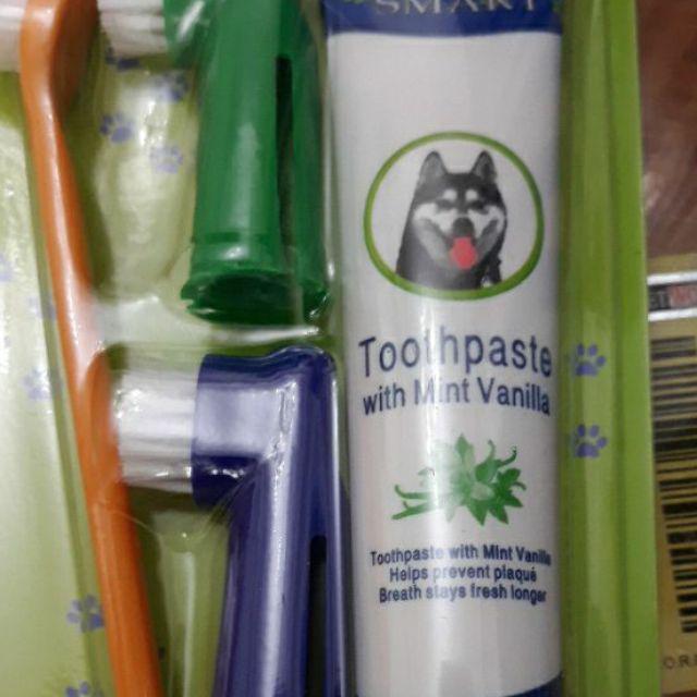 Pet Dental Kit Toothbrush Toothpaste for Dogs and Cats☀ | Lazada PH