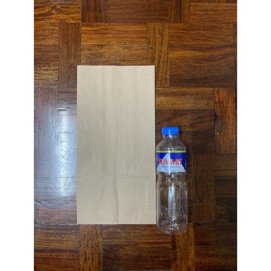 Brown Paper bag 100pcs per pack Brown supot bag | Lazada PH