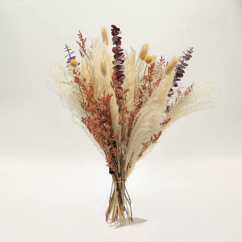 1set Dried Pampas Grass ,Pompous Grass,Bunny Tails Dried Flowers Reed ...