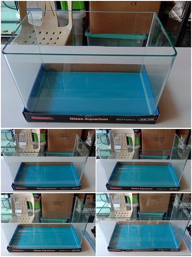 Demily Curved Tank No.35 (4.3 gals.) 35x20x23 cm | Lazada PH