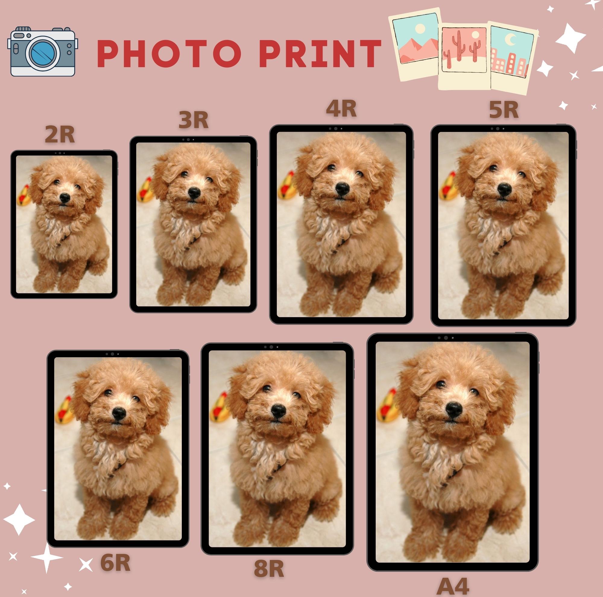 Photo Printing 2R 3R 4R 5R 6R 8R A4 | Lazada PH