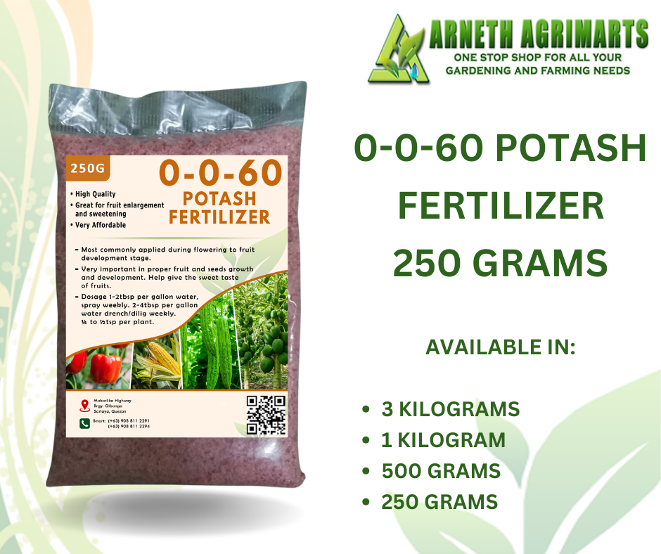 AMIGO PLANTERS MURIATE OF POTASH / 0-0-60 POTASH FERTILIZER - FOR ...