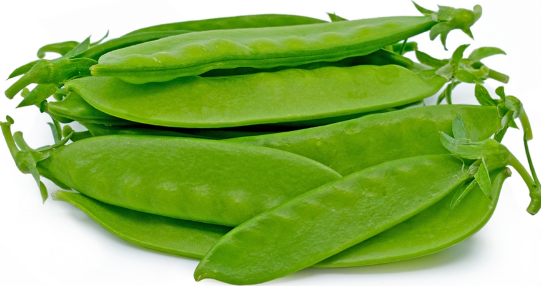 Promo Sale Chinese Big Variety Snow Pea Sitsaro Vegetable Seeds ( 30 ...