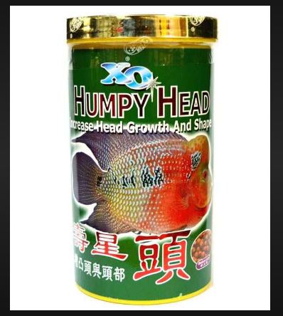 Ocean Free XO Humpy Head Legit/Fresh (400grams /1100ml) med large ...