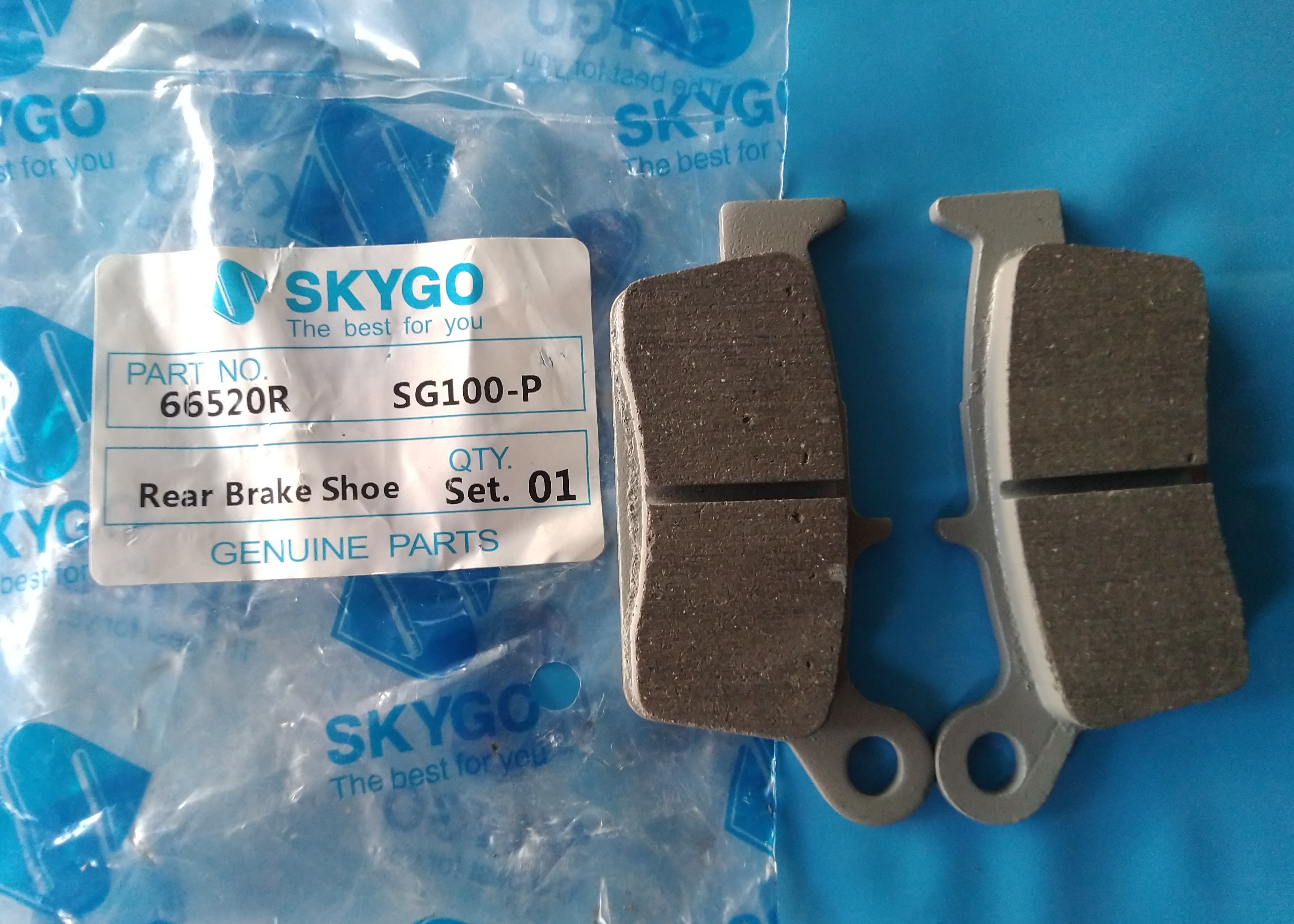 Original Genuine SKYGO PONY SG100 Brake Disk Pad / Genuine Original ...