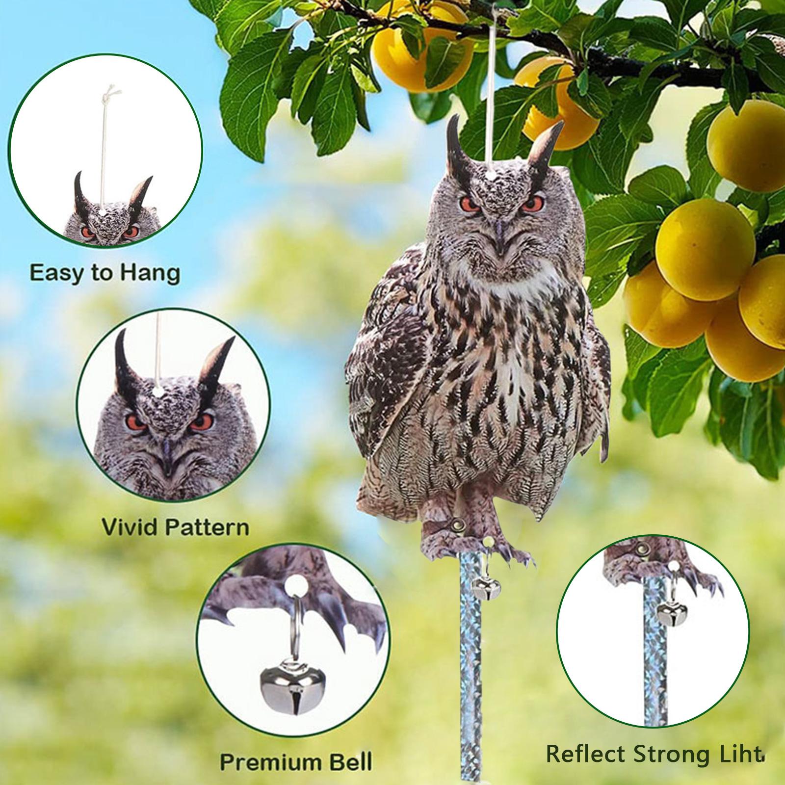 Bird Repelling Owl Laser Reflective Double-sided Simulation Orchard ...