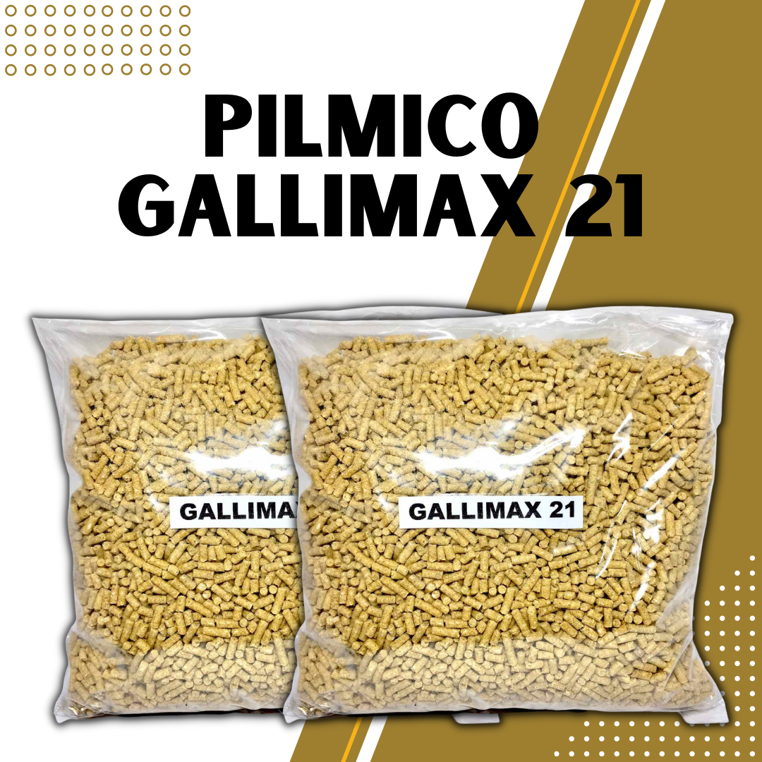 [CL REYES AGRIVET] 2kg PILMICO GALLIMAX 21 BRREDER RATION/ PAKAEN SA ...