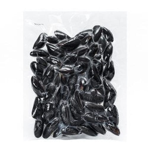 Cooked and Frozen Whole Shell Mussels Seachamp (454g) | Lazada PH