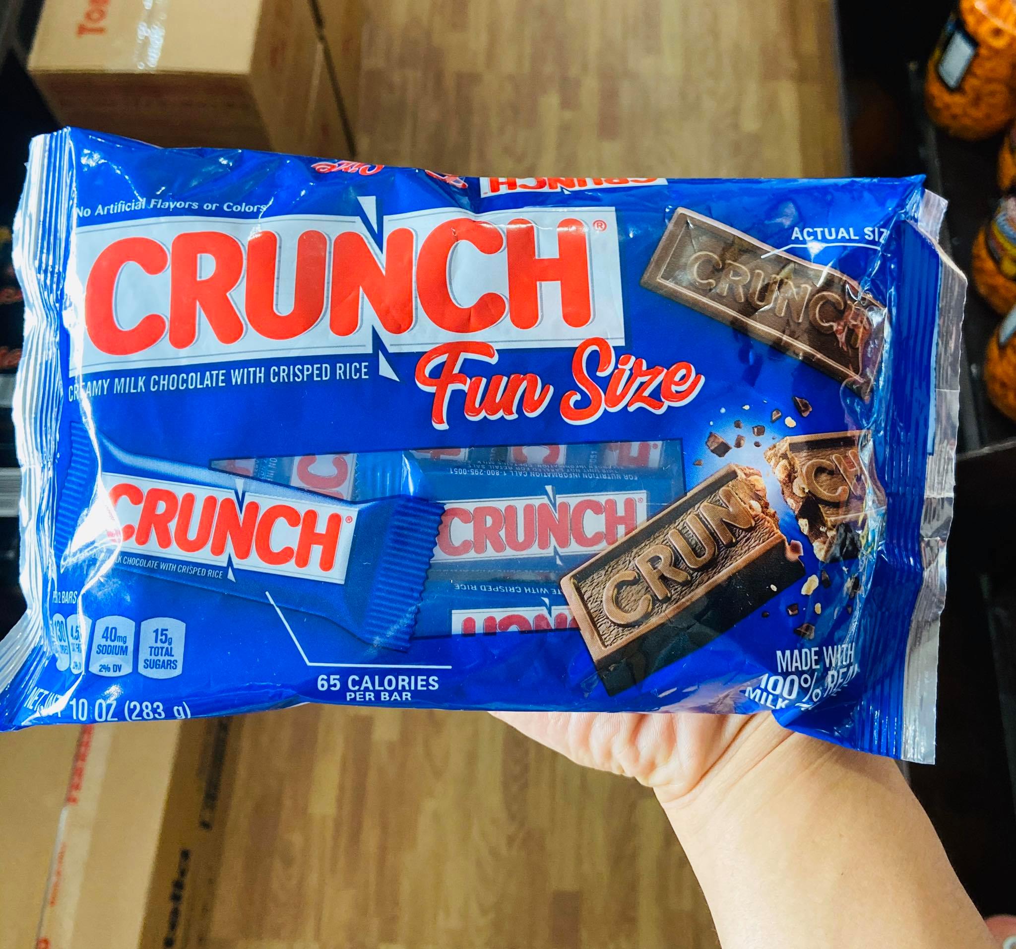 Crunch Fun Size Creamy Milk Chocolate with Crisped Rice 283g ️ | Lazada PH