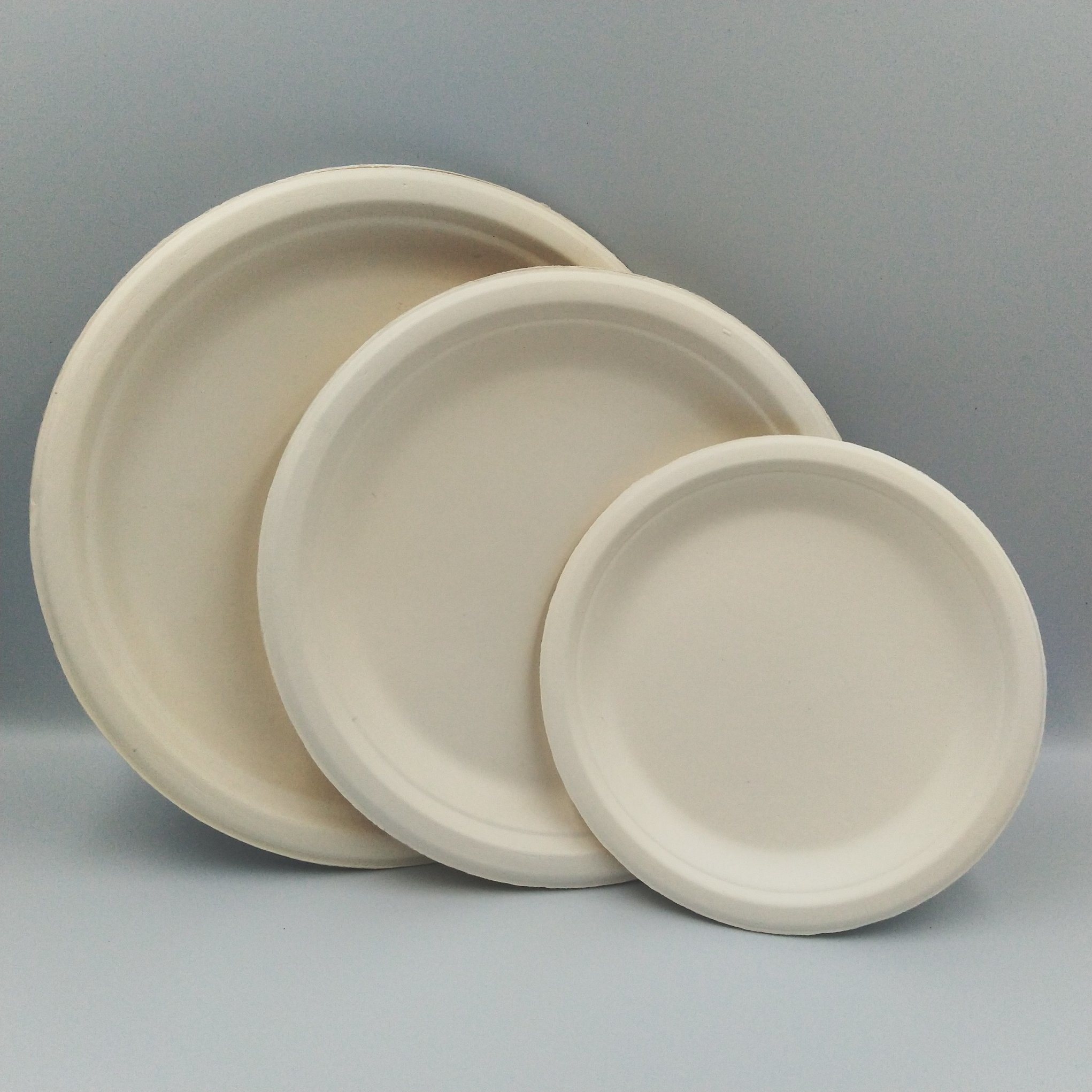 [50pcs] Sugarcane Bagasse Paper Plate | Lazada PH