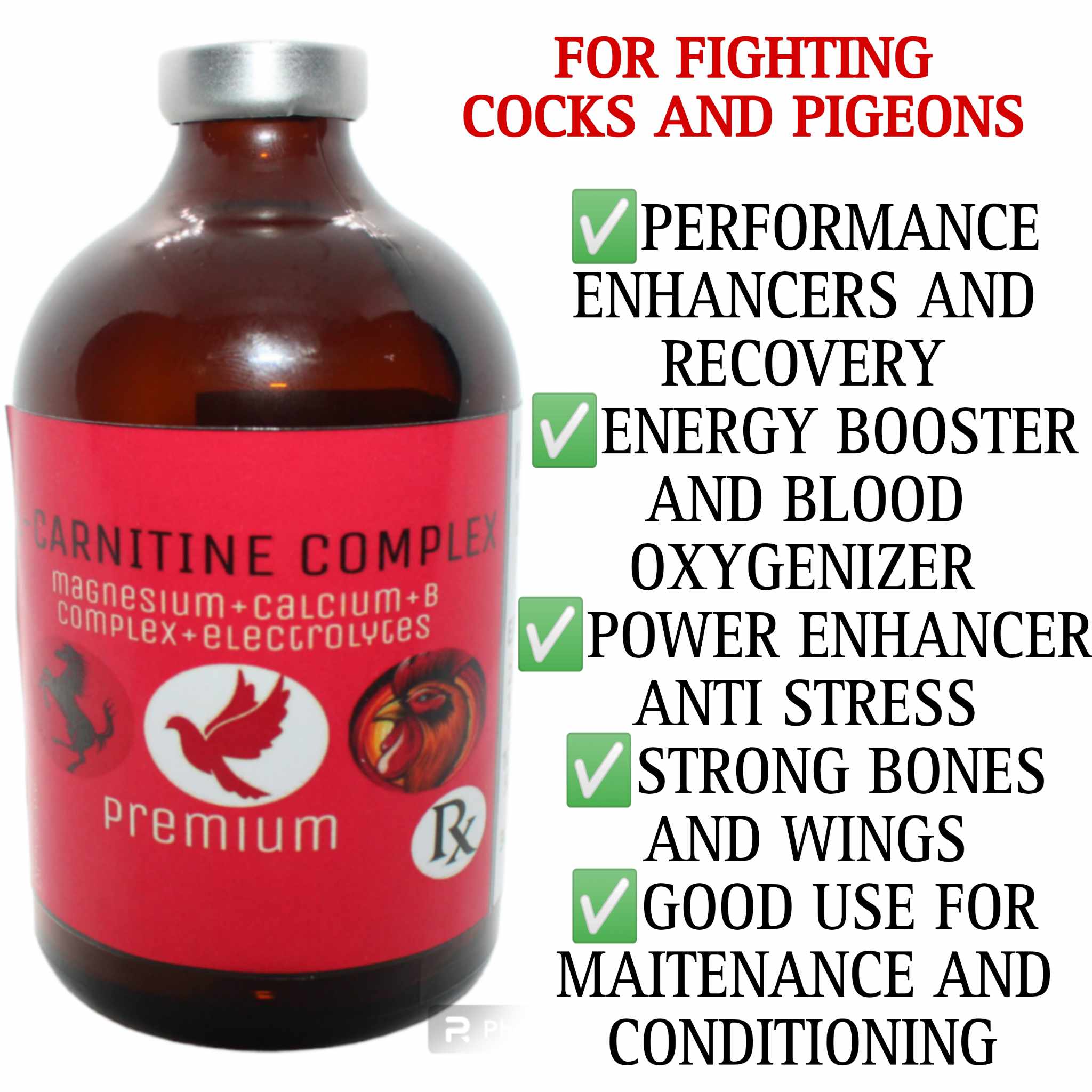 L carnitine with b complex gamefowl and pigeons | Lazada PH