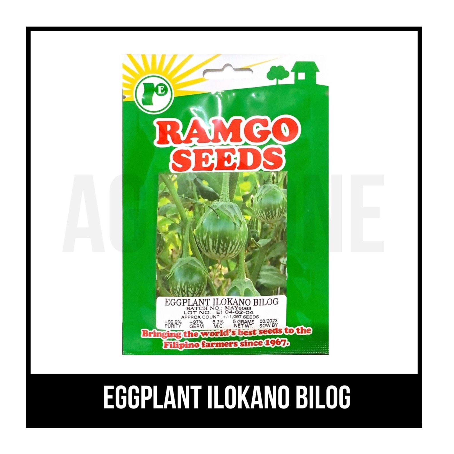 Ramgo Seeds Eggplant Ilokano Bilog | Lazada PH